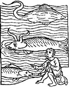 ESO Uncommon and Rare Fish Guide for Master Angler Wannabes ...